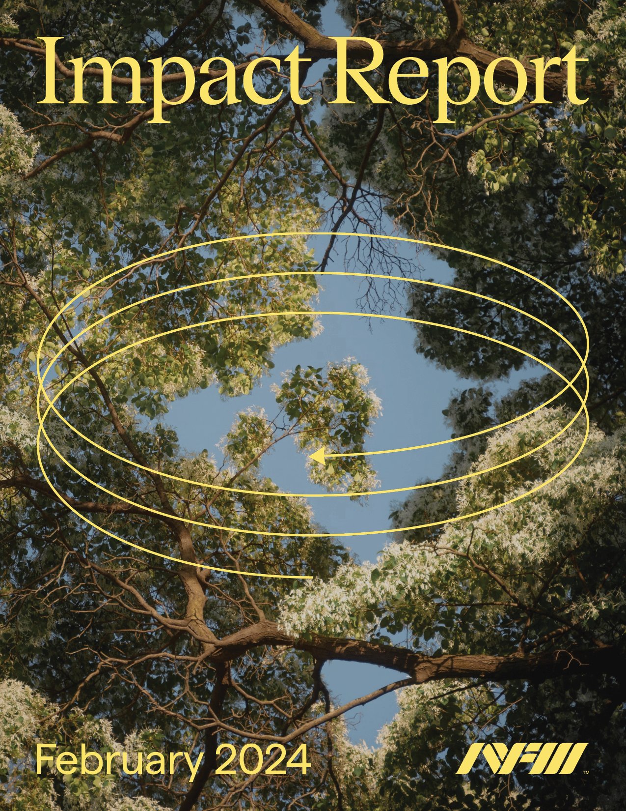 NFW Impact Report